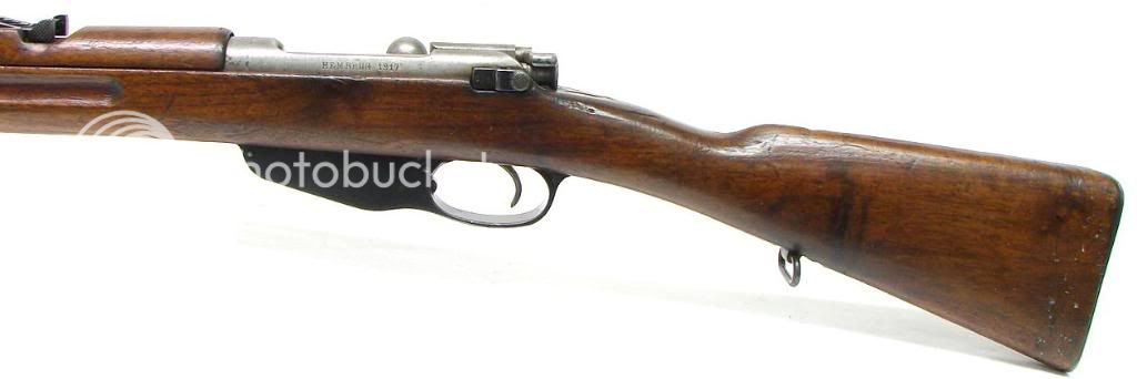 My New 1895 Hembrug Rifle