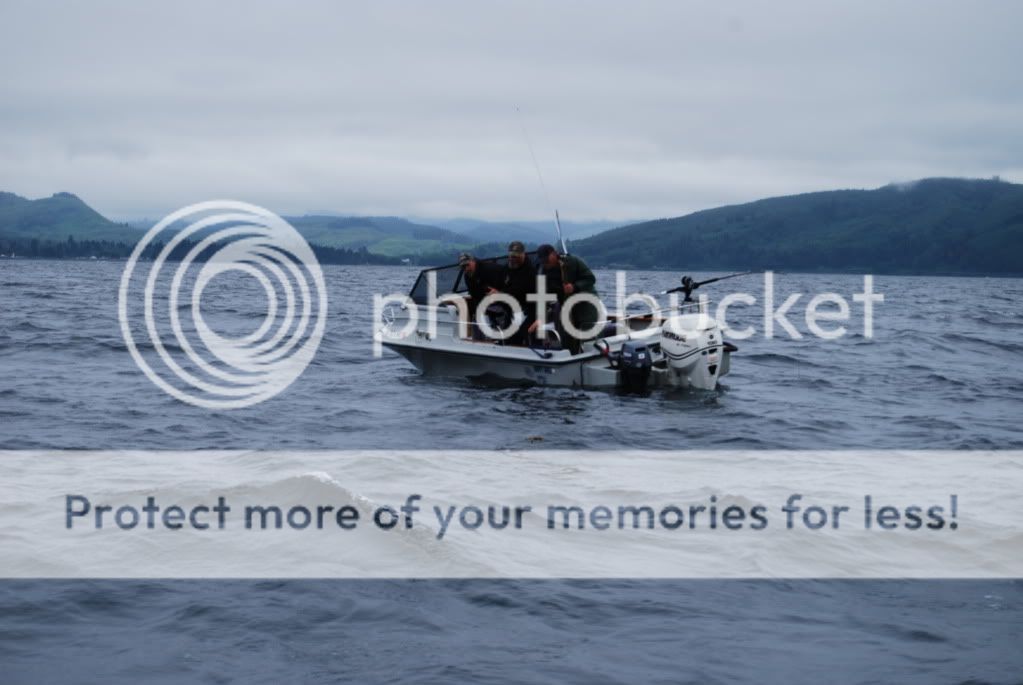 Saltwater - Sekiu Slabs | Bloodydecks