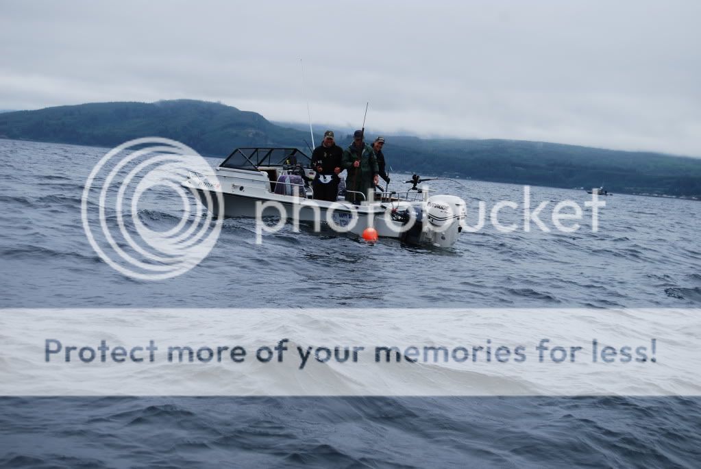 Saltwater - Sekiu Slabs | Bloodydecks